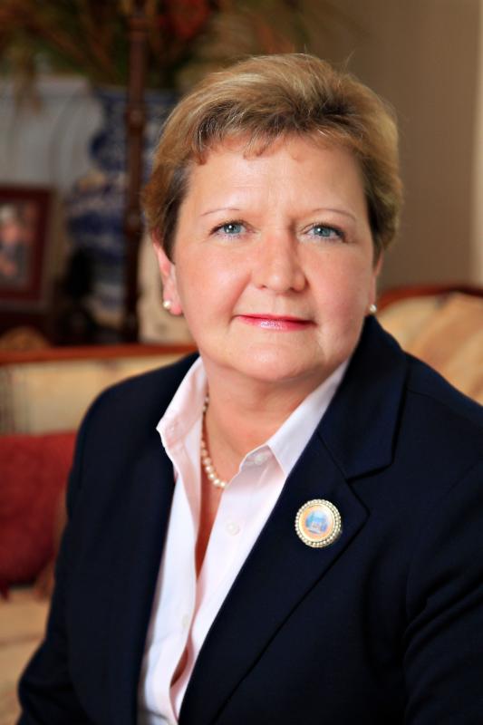 Collection: Councilmember Susan Guidry District A Records | New Orleans ...